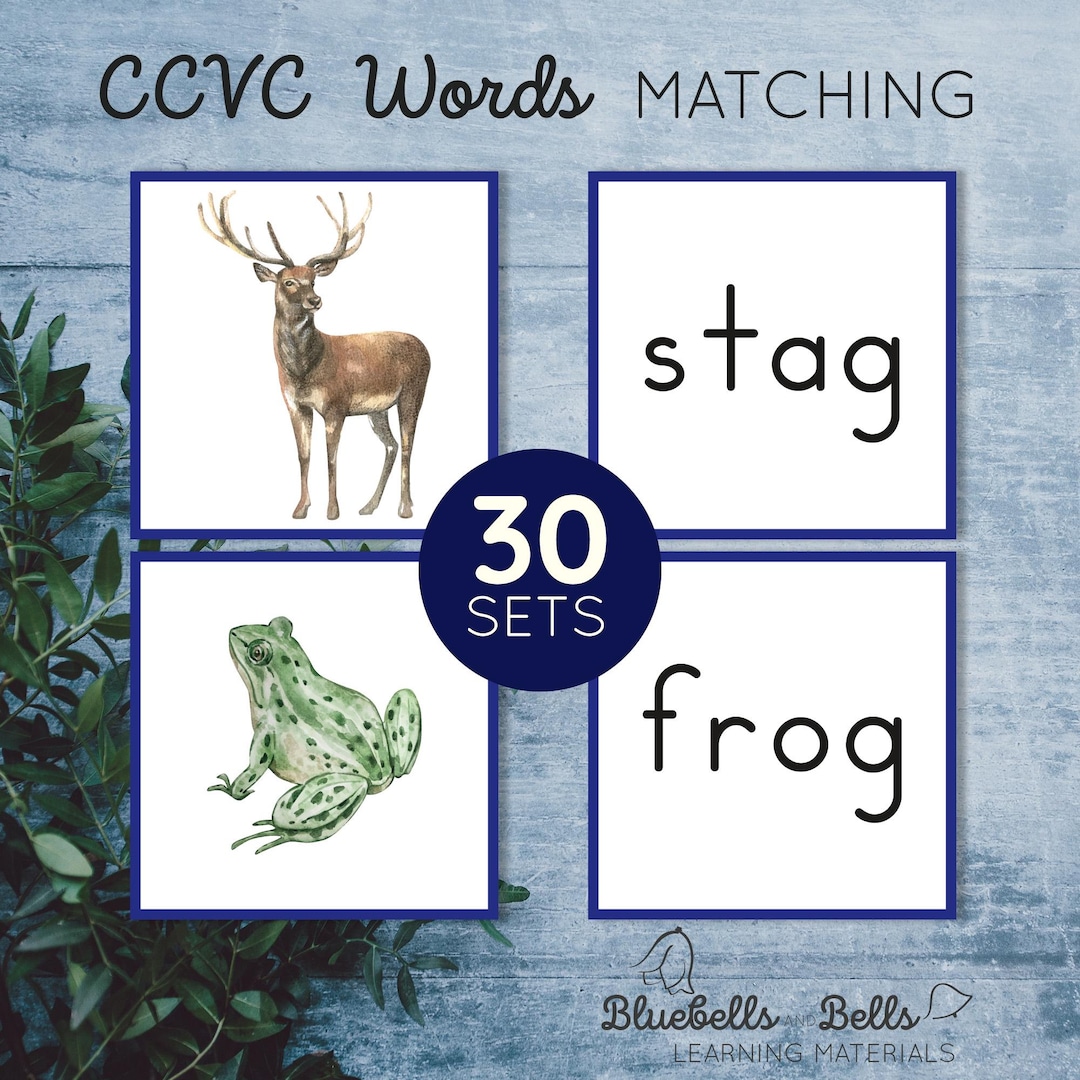 Beginning Blend CCVC Word and Picture Matching Activity. Blue Series ...