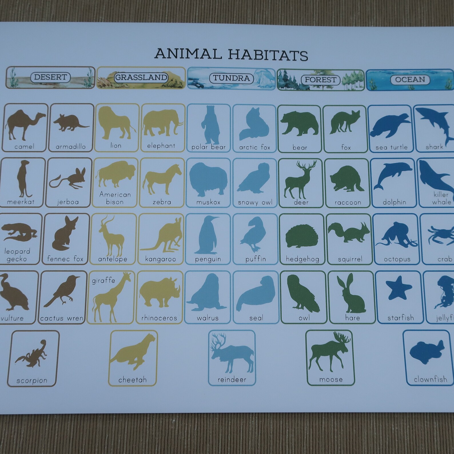 Animal Habitats Sorting Activity and Chart. Montessori - Etsy