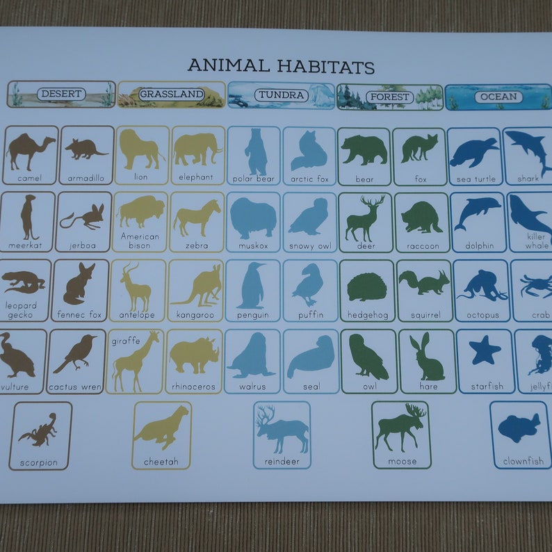 Animal Habitats Sorting Activity and Chart. Montessori - Etsy
