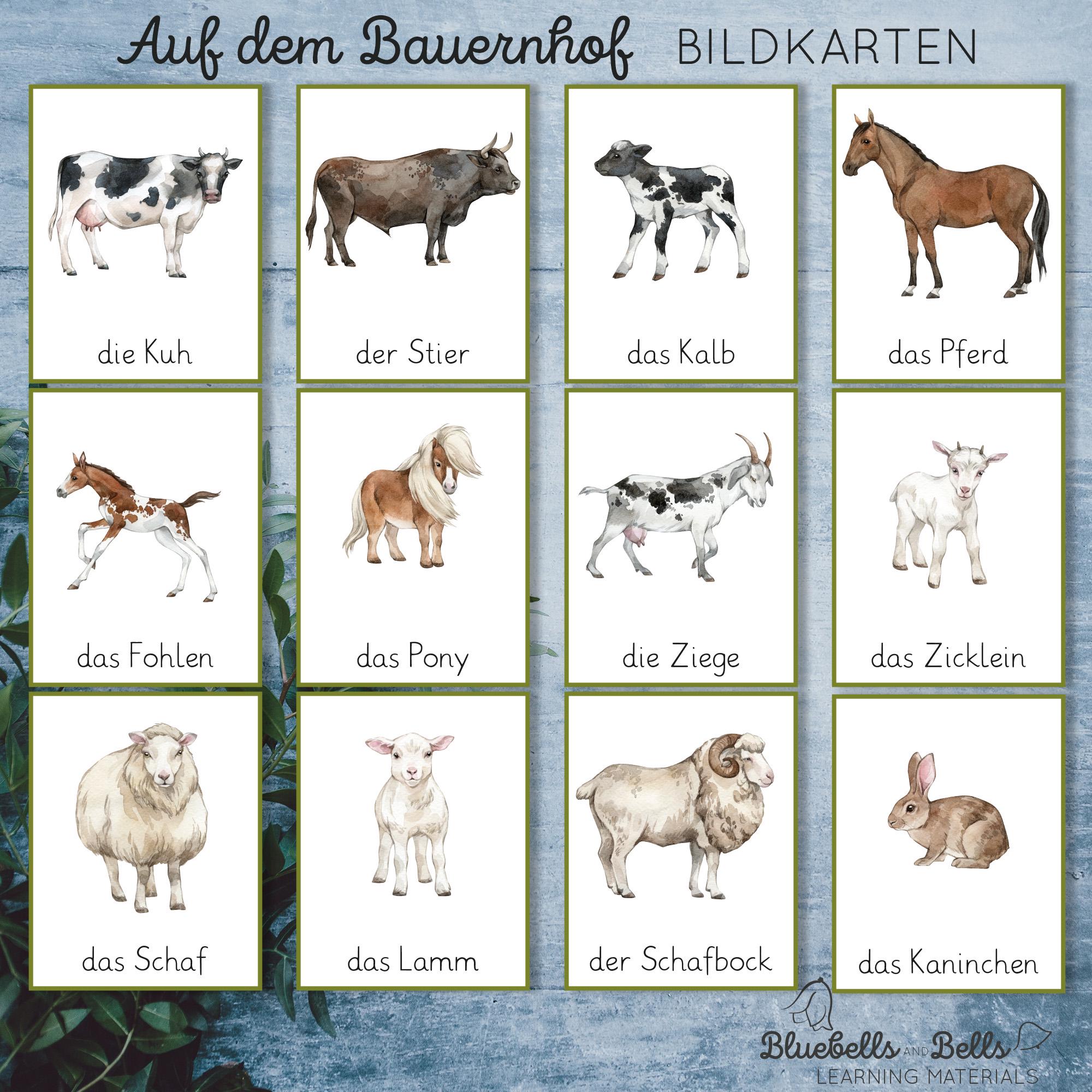 Bauernhoftiere Bildkarten. Lernkarten Deutsche Sprache Für Kleinkinder ...