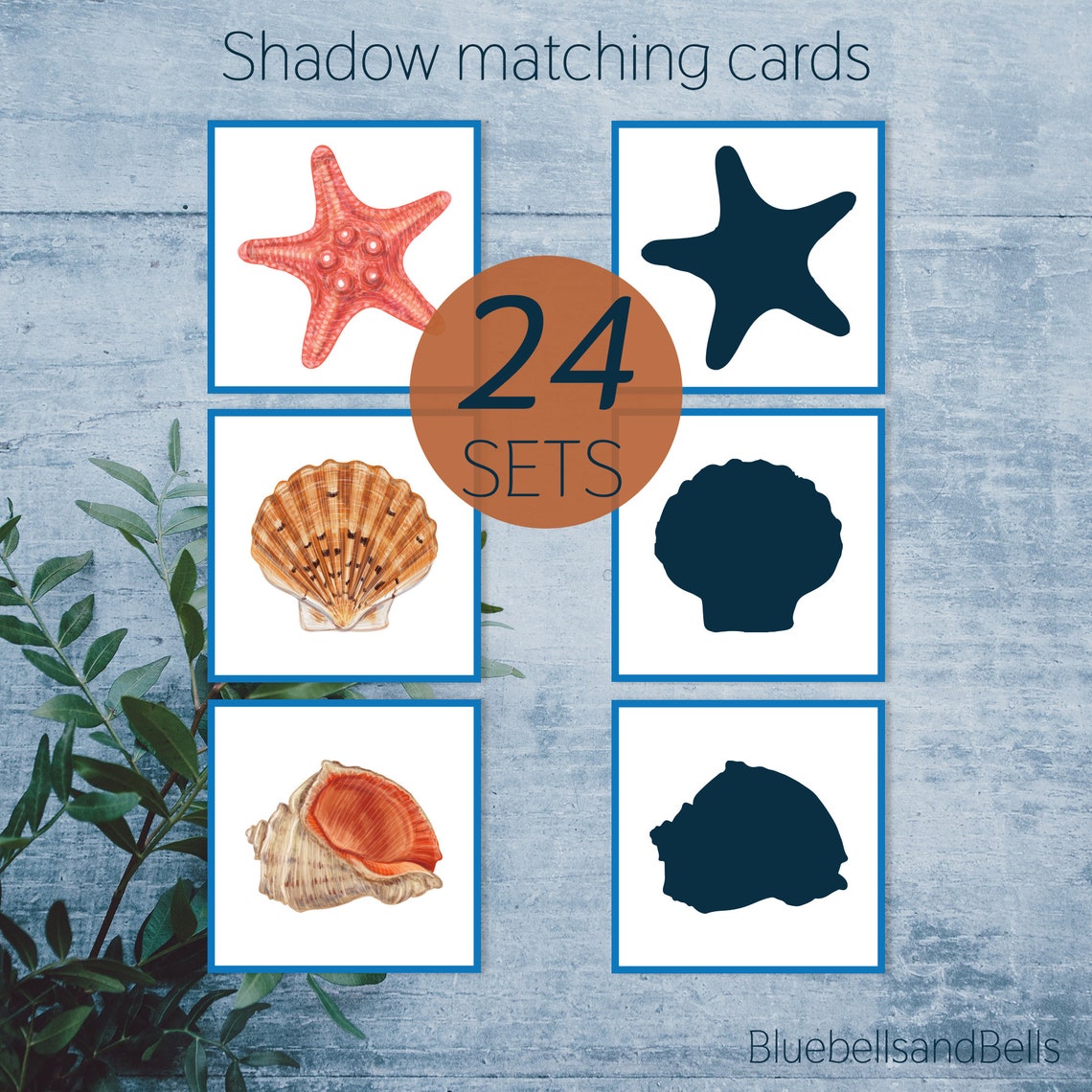 Seashell Shadow Matching Cards. Montessori Preschool Ocean | Etsy