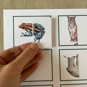 Rainforest Animals Puzzle Halves Matching. Montessori Toddler Printable ...