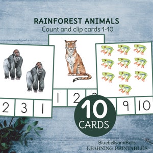 Rainforest Animals Count and Clip Cards 1-10. Preschool Math Printable ...