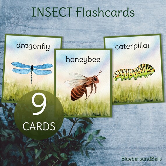 Insect Preschool Printable Mini Flashcards. Watercolor Animal | Etsy