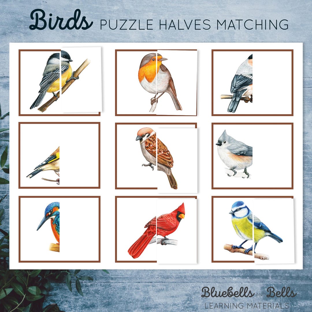 Toddler Puzzle Birds Halves Matching. Montessori Spring Printable Busy ...