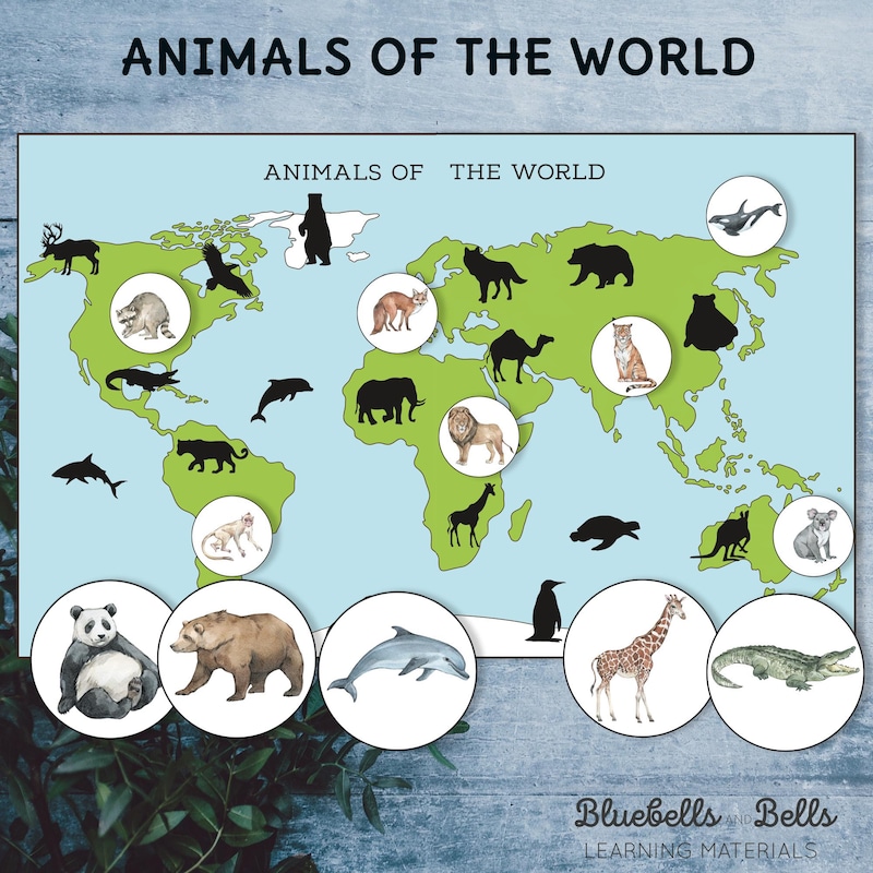 Continents and World - Etsy