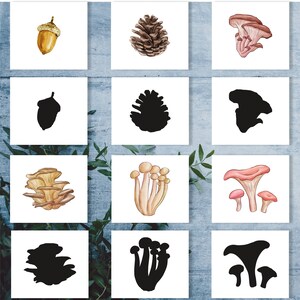 Autumn Shadow Matching Montessori Printable. Fall Nature Activity ...