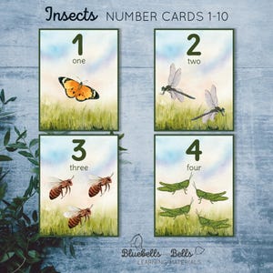 Insect Preschool Printable Number 1-10 Flashcards. Toddler Watercolor ...