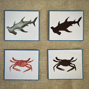 Ocean Animal Shadow Matching Cards. Montessori Summer Preschool ...