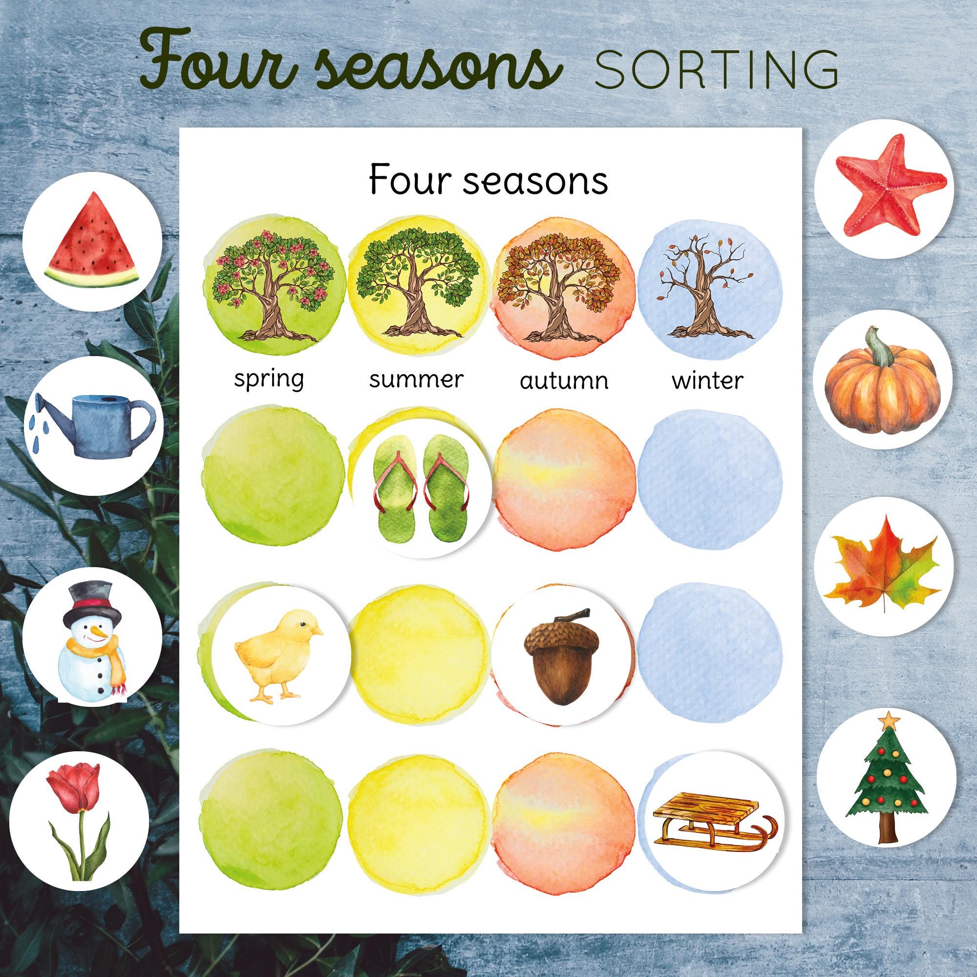 Four Seasons Wheel, Sorting Activity, Cards and Poster. - Etsy