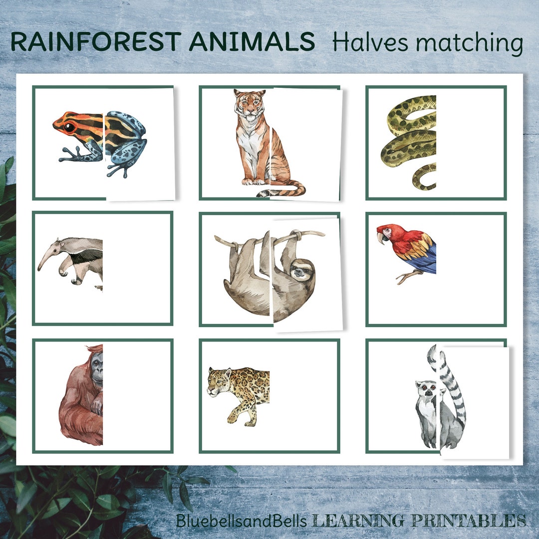 Rainforest Animals Puzzle Halves Matching. Montessori Toddler Printable ...