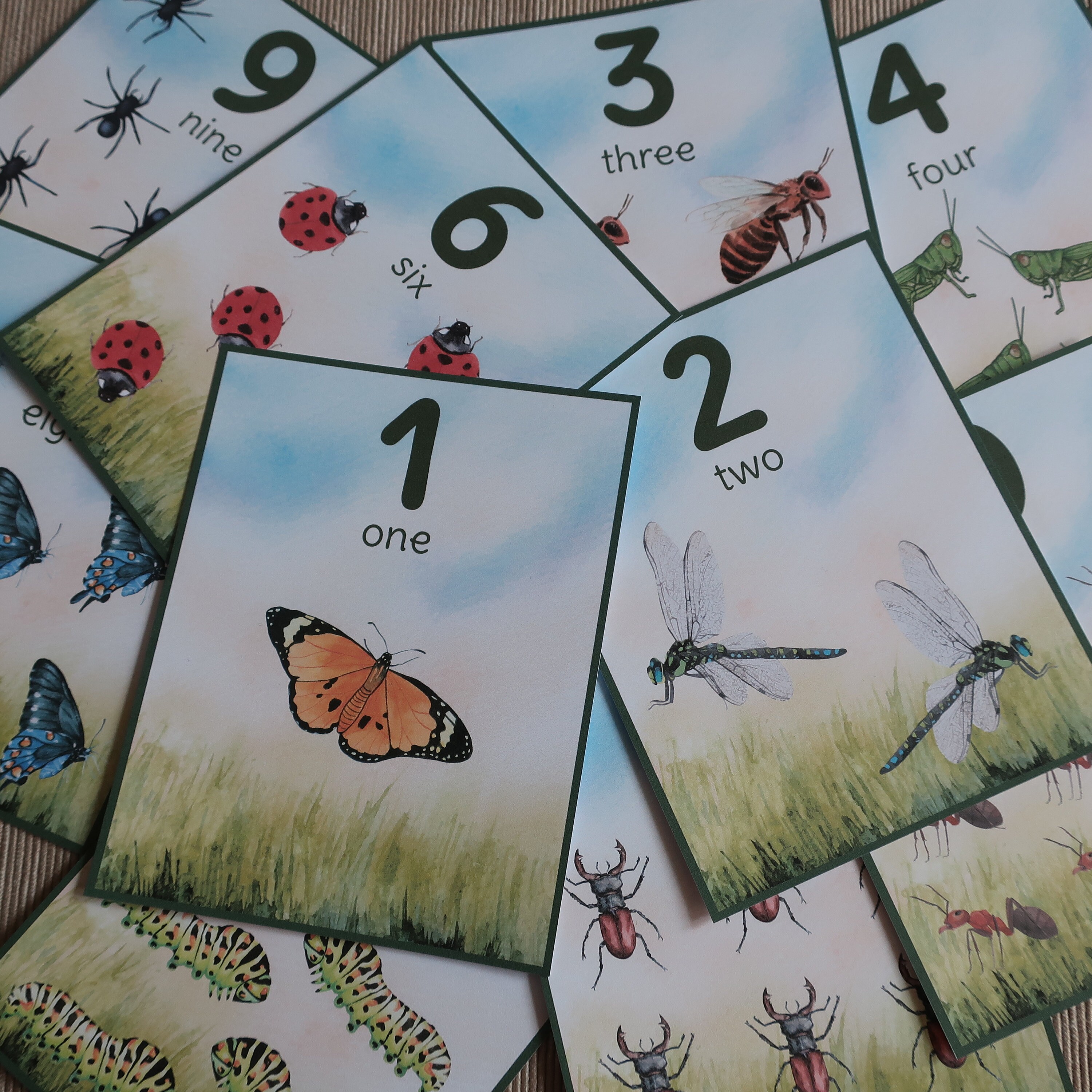 Insect Preschool Printable Number 1-10 Flashcards. Toddler Watercolor ...