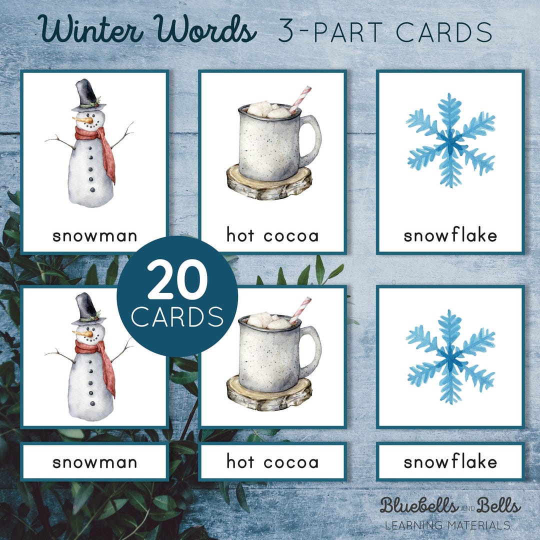 Winter Montessori Printable Vocabulary 3 Part Cards. Preschool and ...