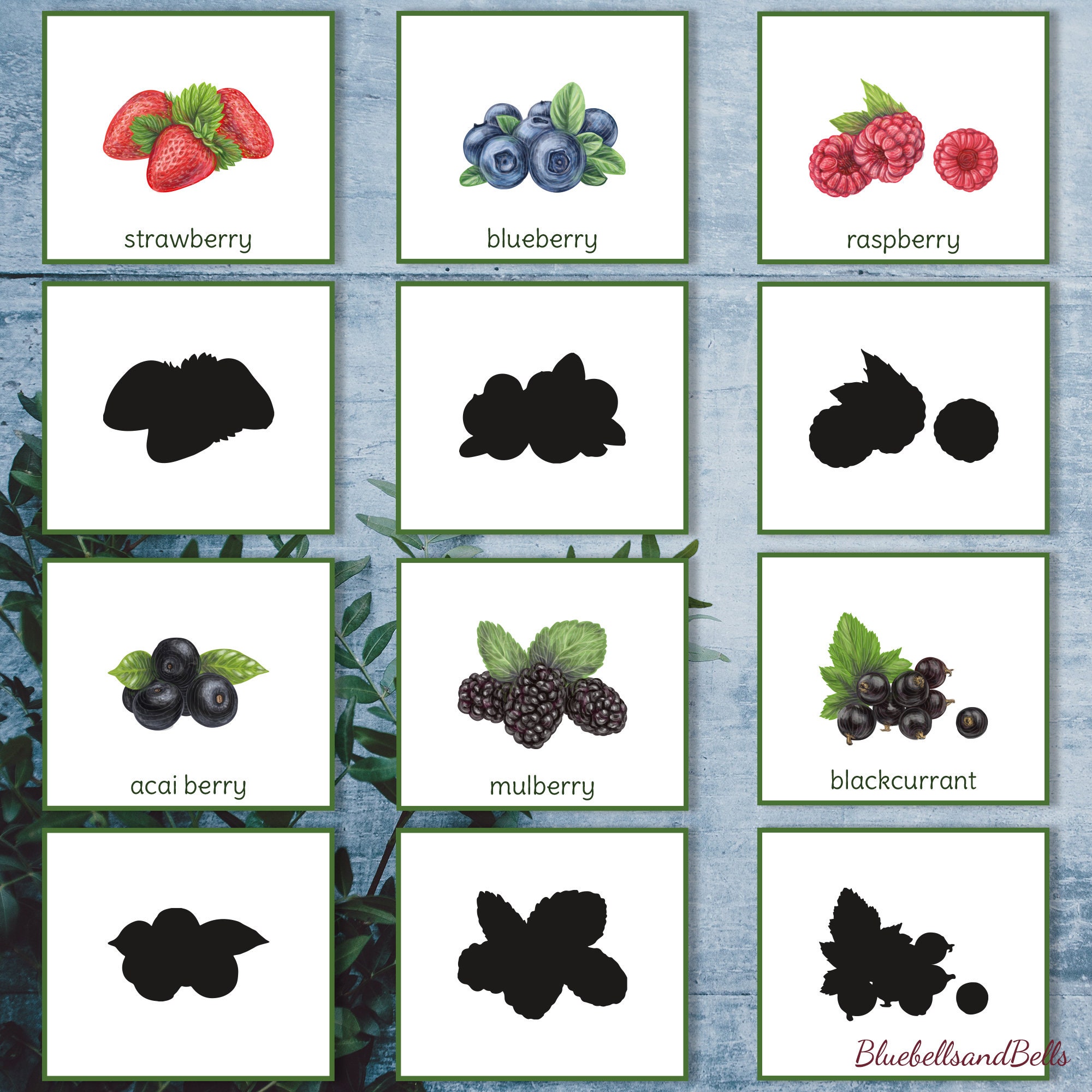 Berries flashcards and shadow matching cards. Preschool summer | Etsy