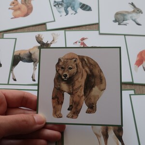 Woodland Animal Montessori Printable Shadow Matching Cards. Toddler ...