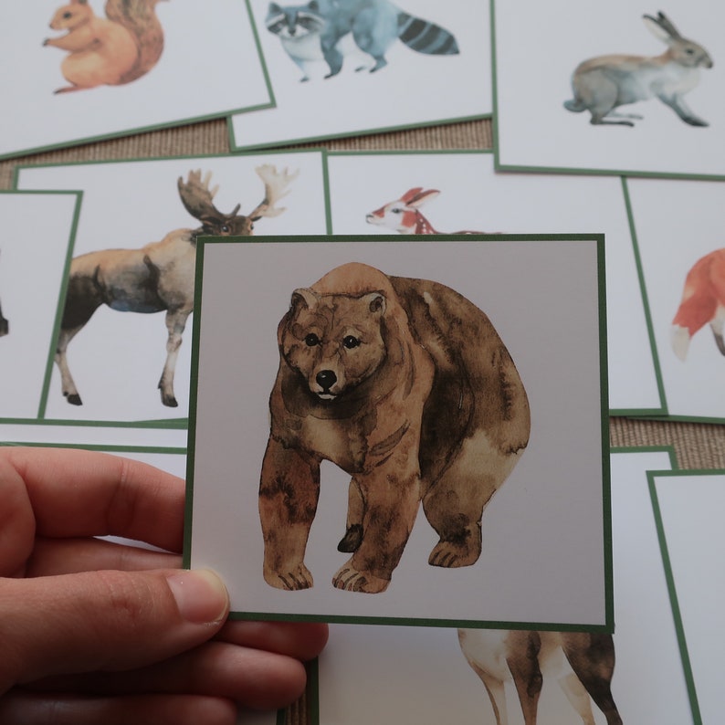 Woodland Animal Montessori Printable Shadow Matching Cards. | Etsy