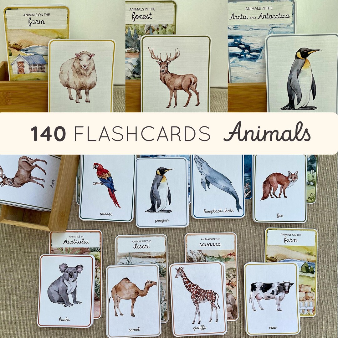 Farm Animal Flashcards, Woodland Animals, Ocean, Rainforest Cards ...