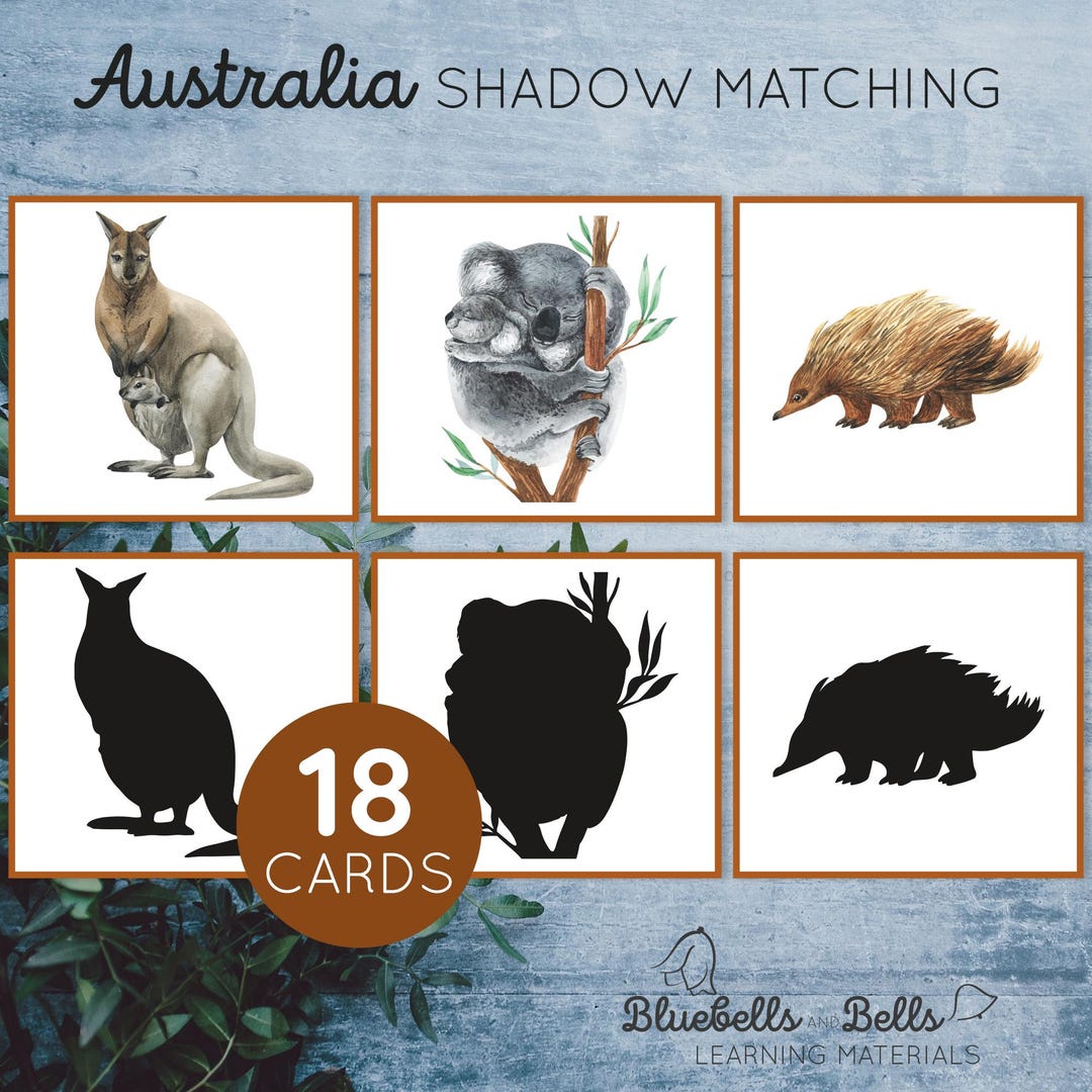 Australia Animal Cards Shadow Matching. Montessori Toddler Printable ...