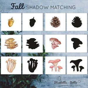 Autumn Shadow Matching Montessori Printable. Fall Nature Activity ...