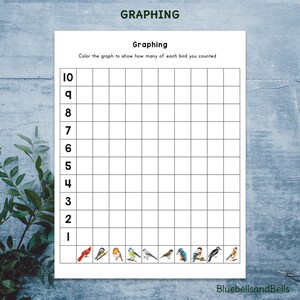 Birds Preschool Graphing. Spring Montessori Math Printable for ...