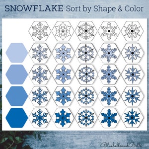 Winter Montessori Printable Snowflake Sorting Activity. Sort by Color ...