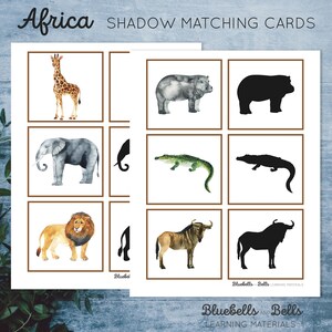 Africa Animal Shadow Matching Cards. Montessori Toddler Printable ...