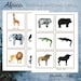 Africa Animal Shadow Matching Cards. Montessori Toddler Printable ...
