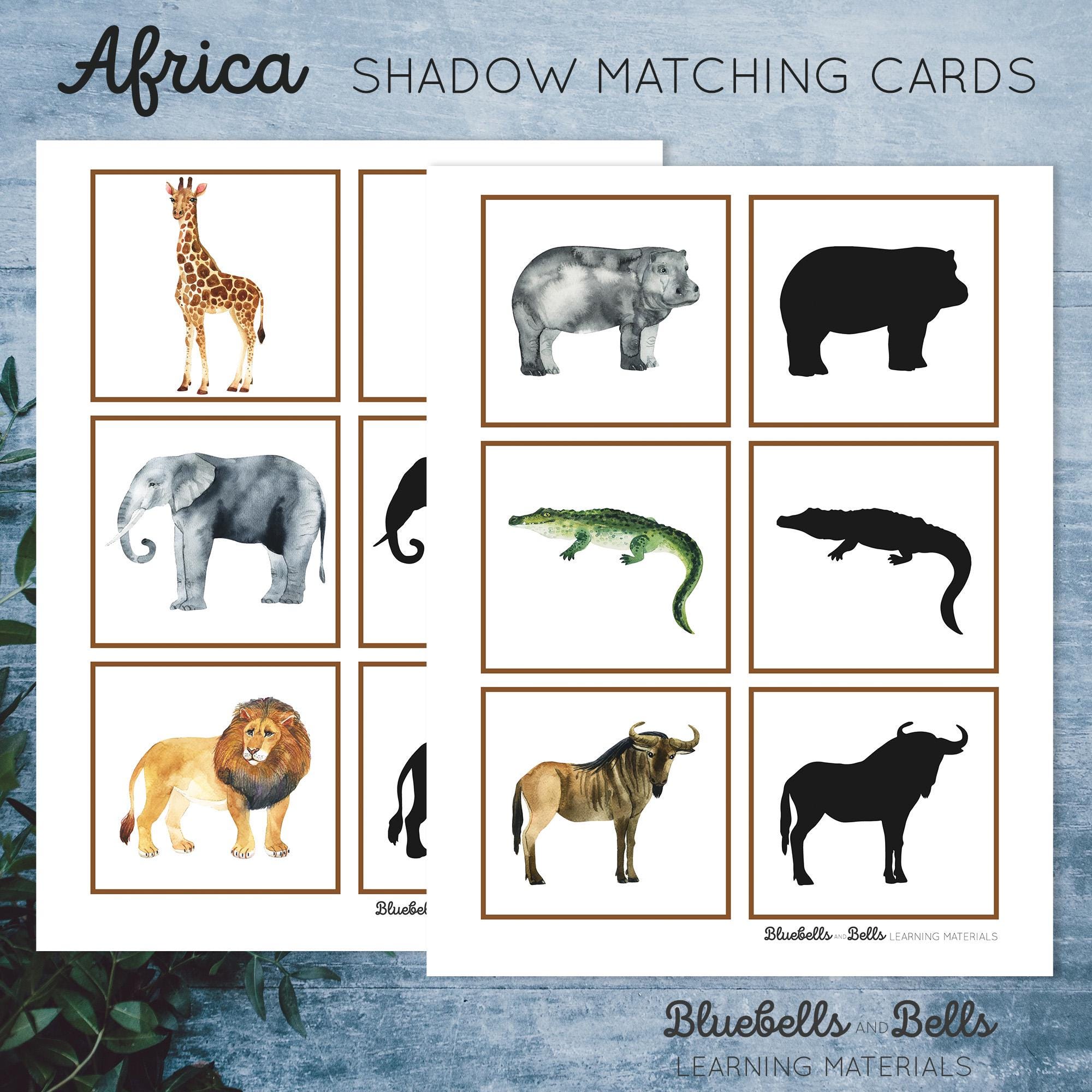 Africa Animal Shadow Matching Cards. Montessori Toddler Printable ...