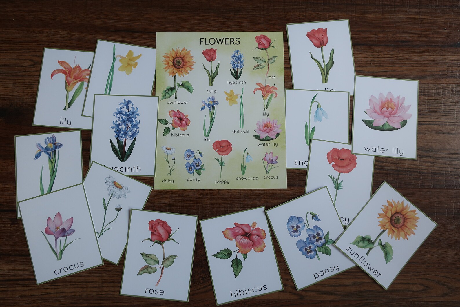 Flower Identification Printable Cards and Poster. Montessori - Etsy