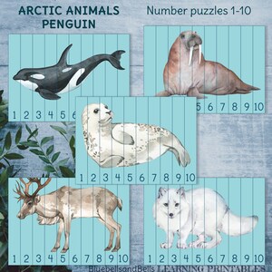 Arctic Animals Preschool Printable Puzzles 1-10. Penguin Number ...