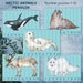 Arctic Animals Preschool Printable Puzzles 1-10. Penguin Number ...