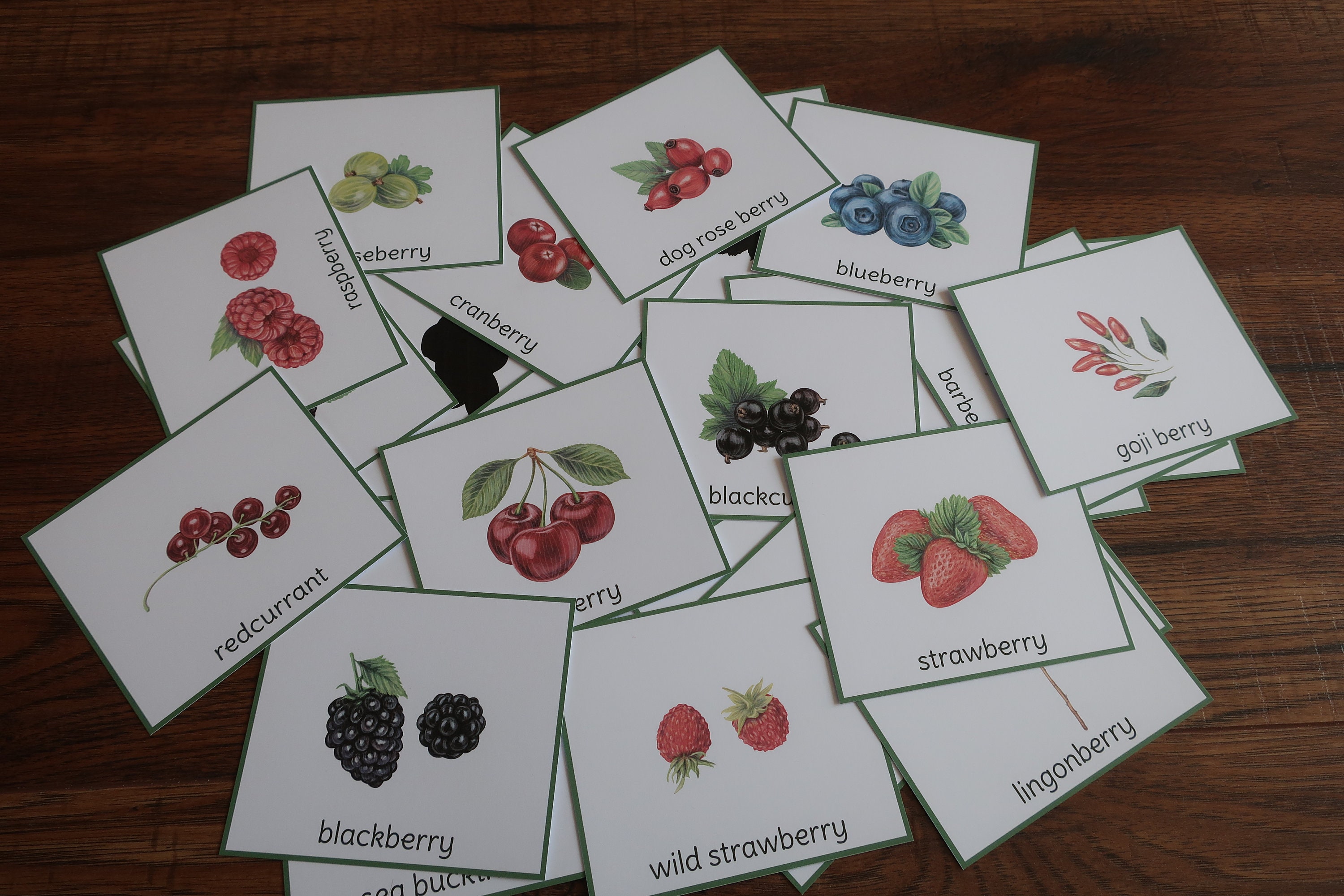 Berries Flashcards and Shadow Matching Cards. Preschool Summer Activity ...