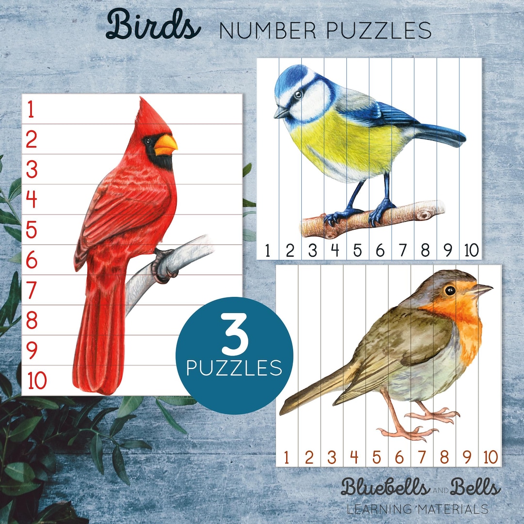 Bird Preschool Printable Number Sequence Puzzles 1-10. Montessori ...
