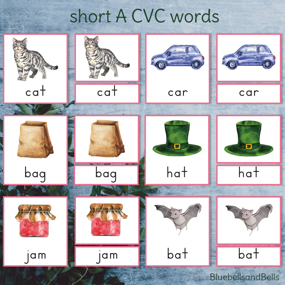 Montessori Printable CVC Phonics 3-part Cards. CVC Words | Etsy