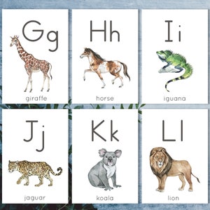 Animal Alphabet Cards. Watercolor Letter Flash Cards. Classroom ABC ...