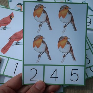 Birds Count and Clip Cards 1-10. Spring Montessori Printable. Preschool ...