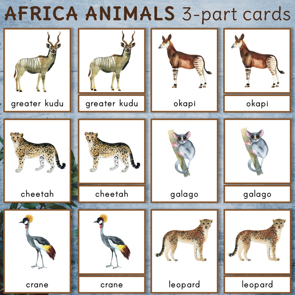 Africa Animals Montessori 3 Part Cards. Preschool and - Etsy