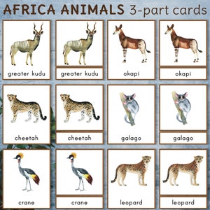 Africa Animals Montessori 3 Part Cards. Preschool and Kindergarten ...