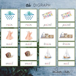 Vowel Digraphs 3-part Cards. Green Series Printable. - Etsy