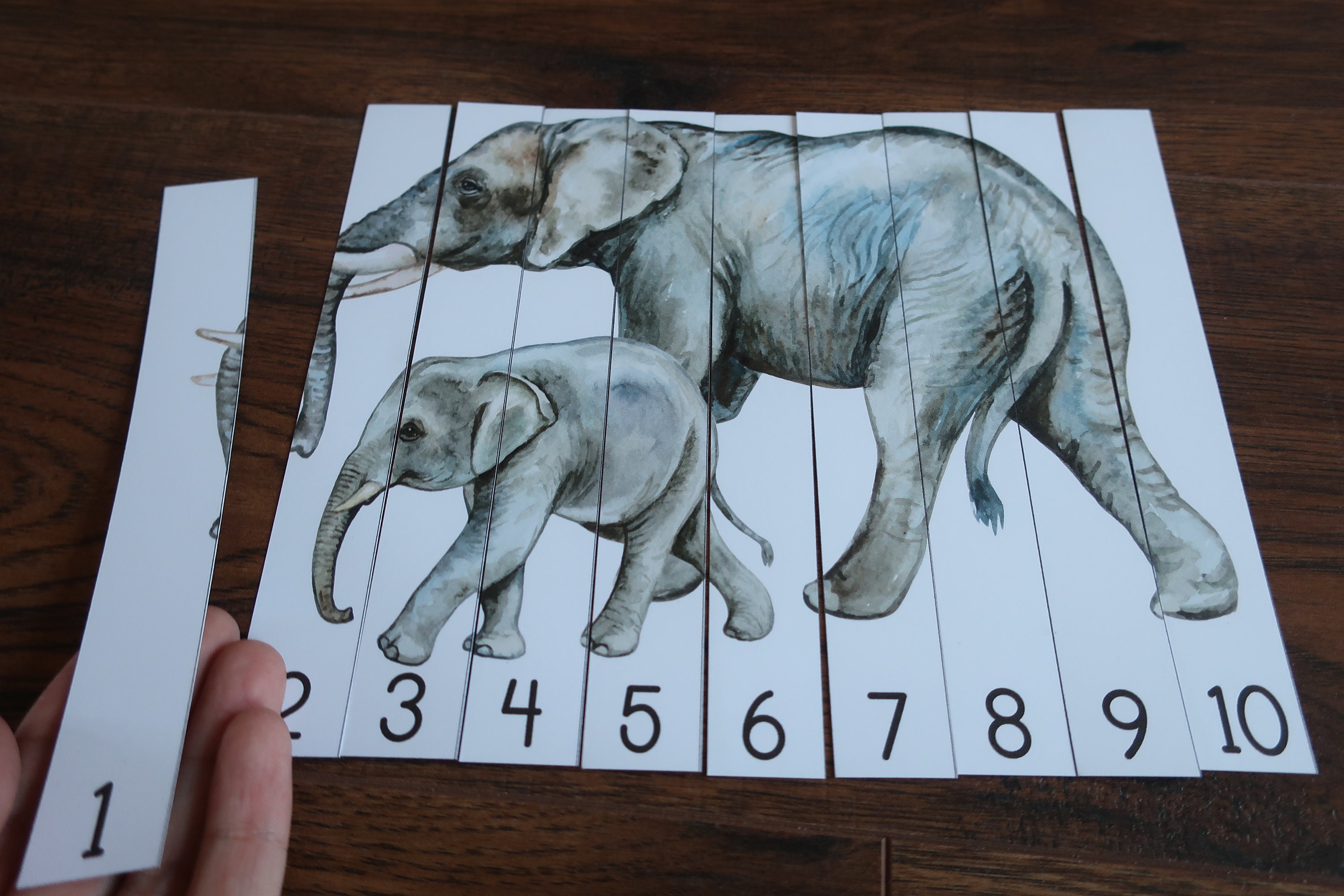 Africa Animal Number Sequence 1-10 puzzles. Preschool - Etsy 日本