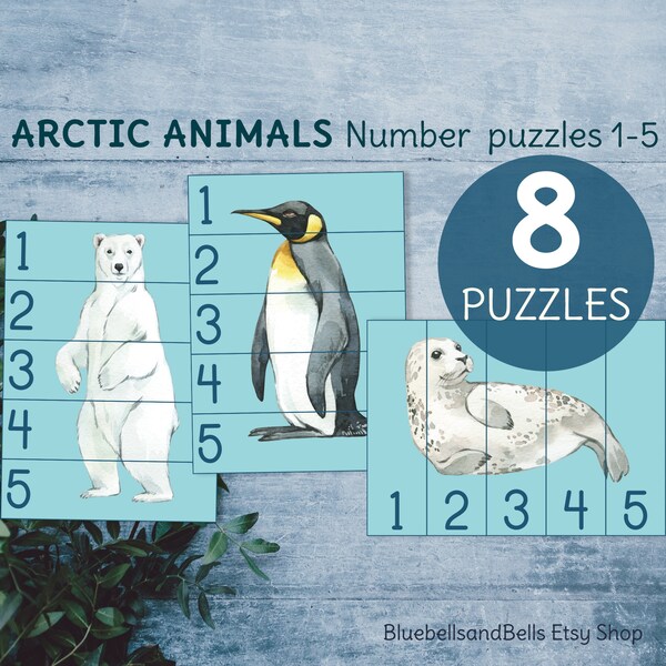 Polar Bear Puzzle - Etsy
