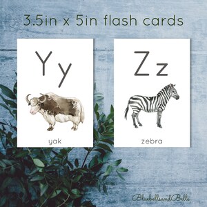 Animal Alphabet Cards. Watercolor Letter Flash Cards. Classroom ABC ...