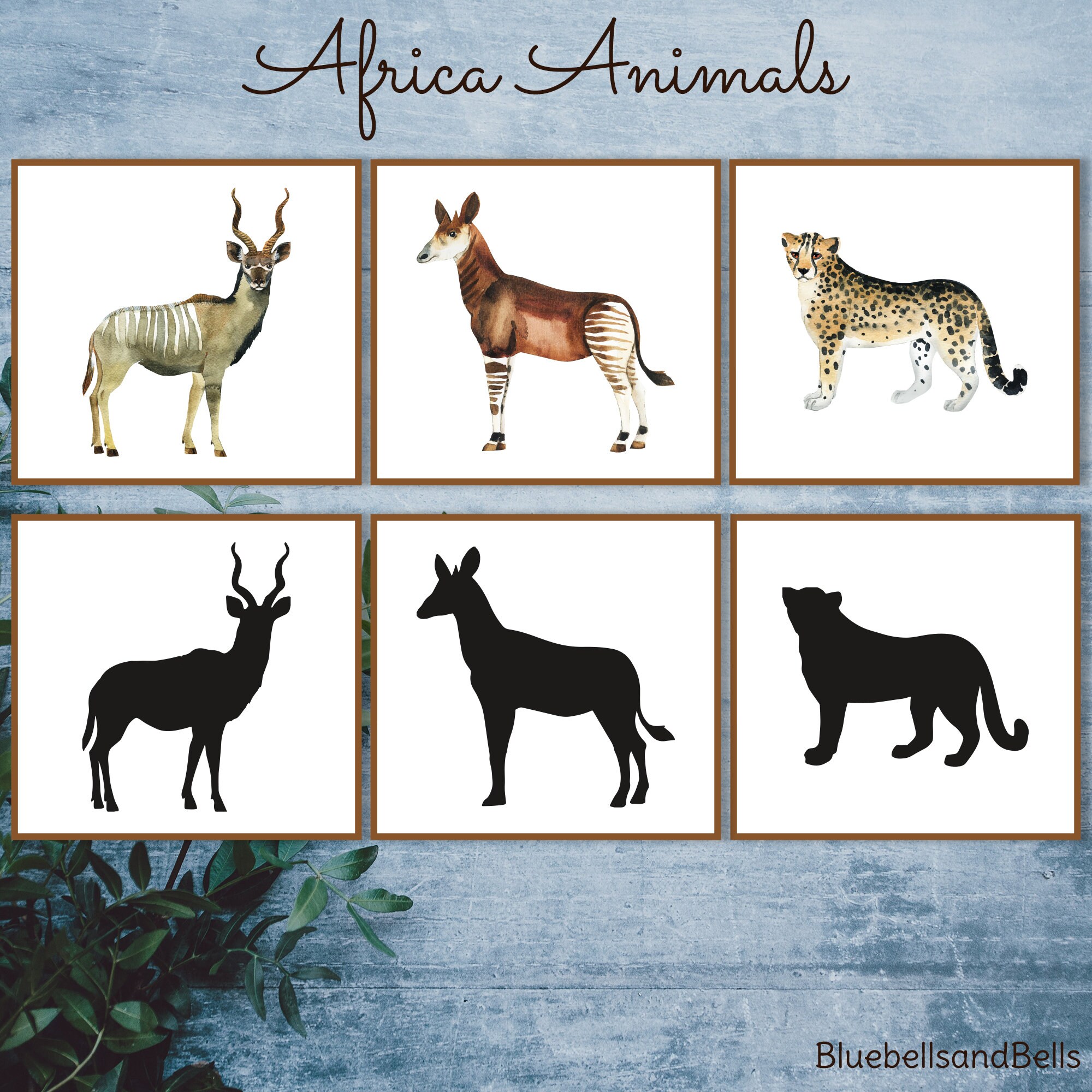 Africa Animal Shadow Matching Cards. Montessori Toddler - Etsy Canada