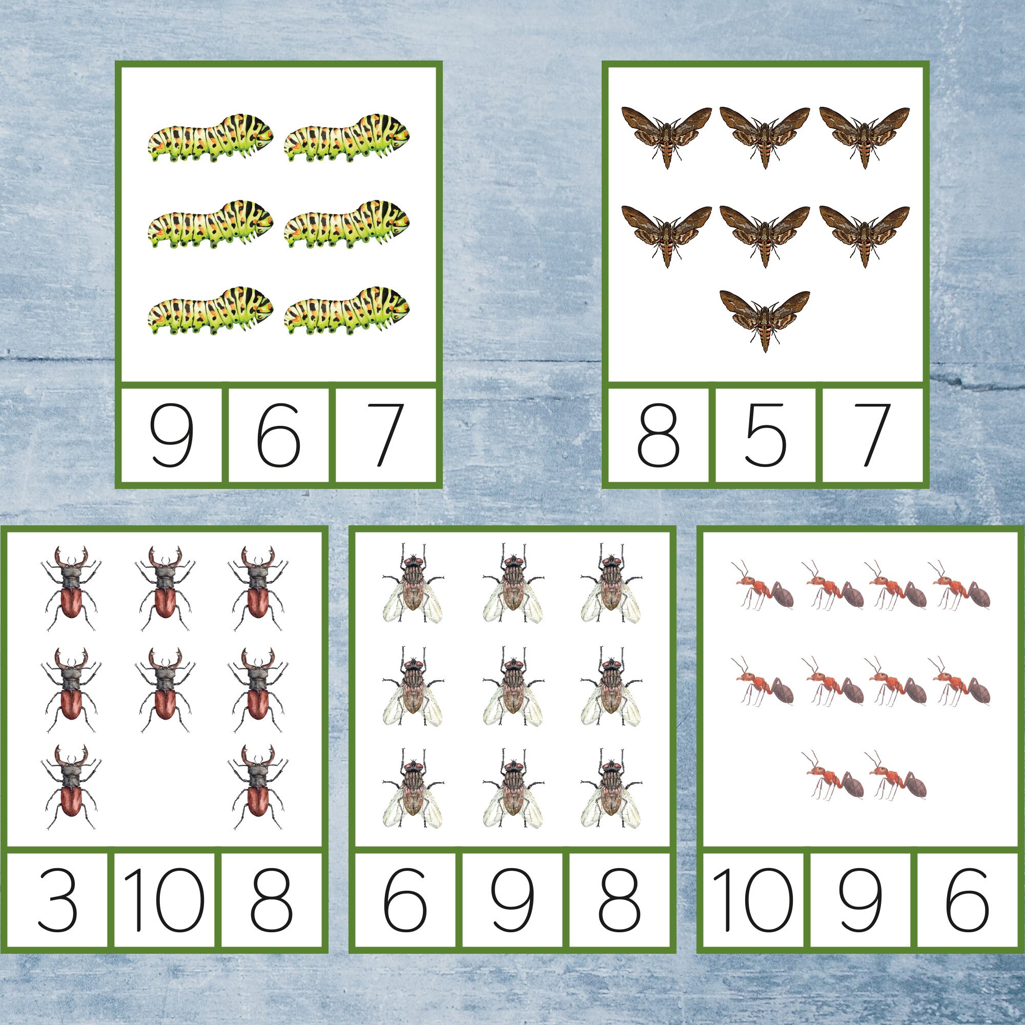 Insect Count and Clip Cards 1-10. Montessori Summer Math - Etsy