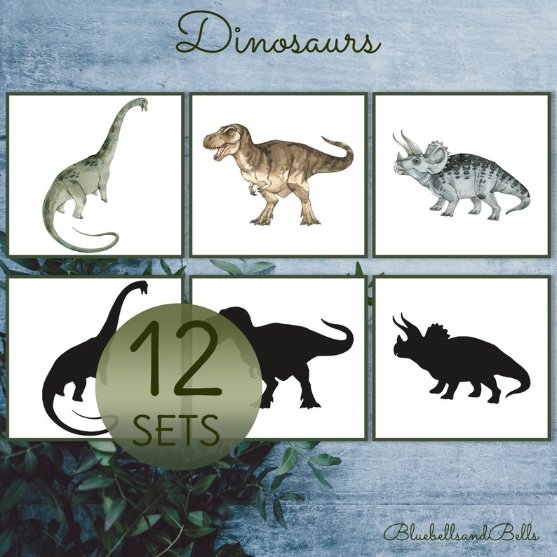 Montessori Printable Dinosaur Shadow Matching Cards. Toddler - Etsy