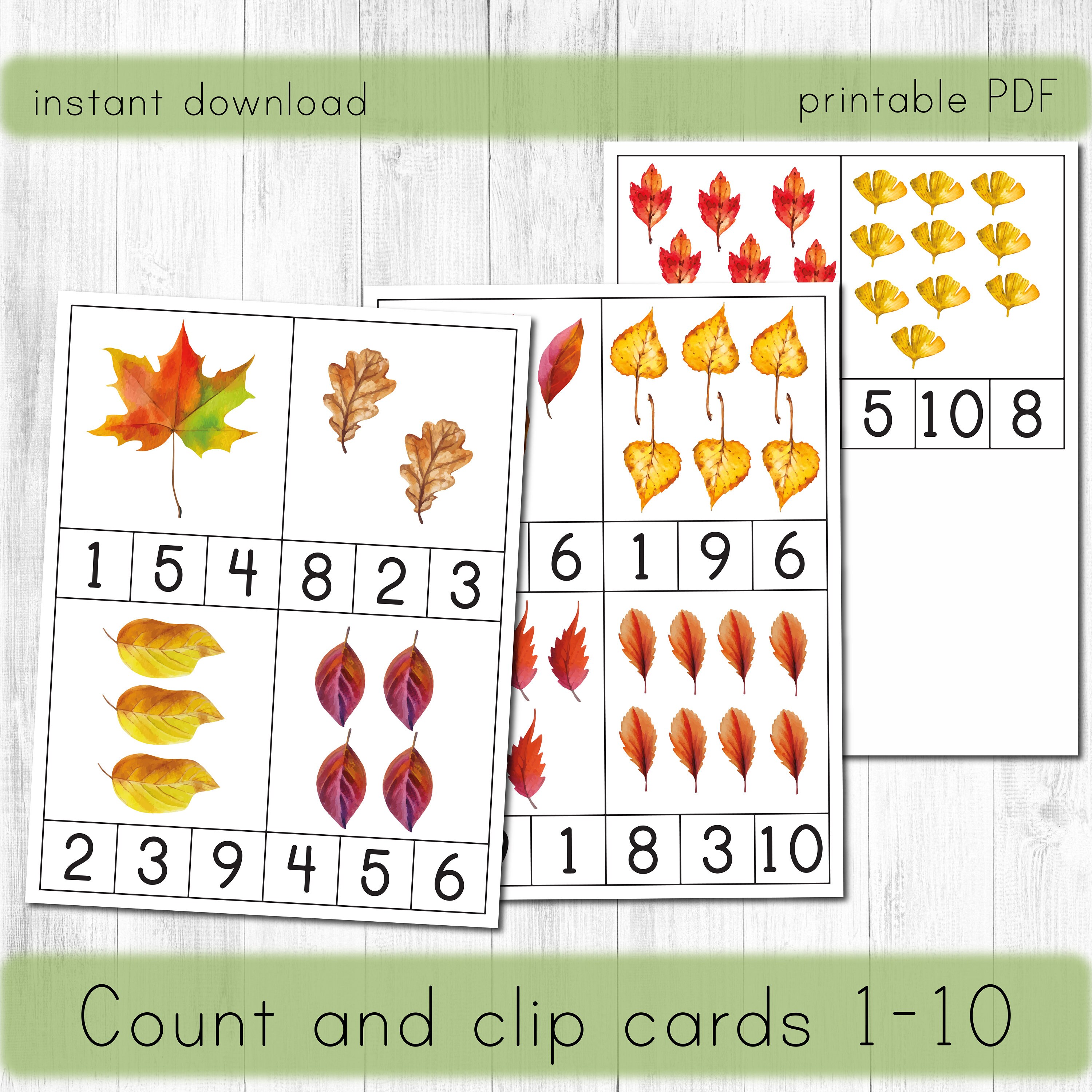 Fall Leaves Counting Cards 1-10. Montessori Math Printable. - Etsy