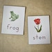 Blends Flashcards. Beginning Blend Printable. CCVC Words Preschool and ...