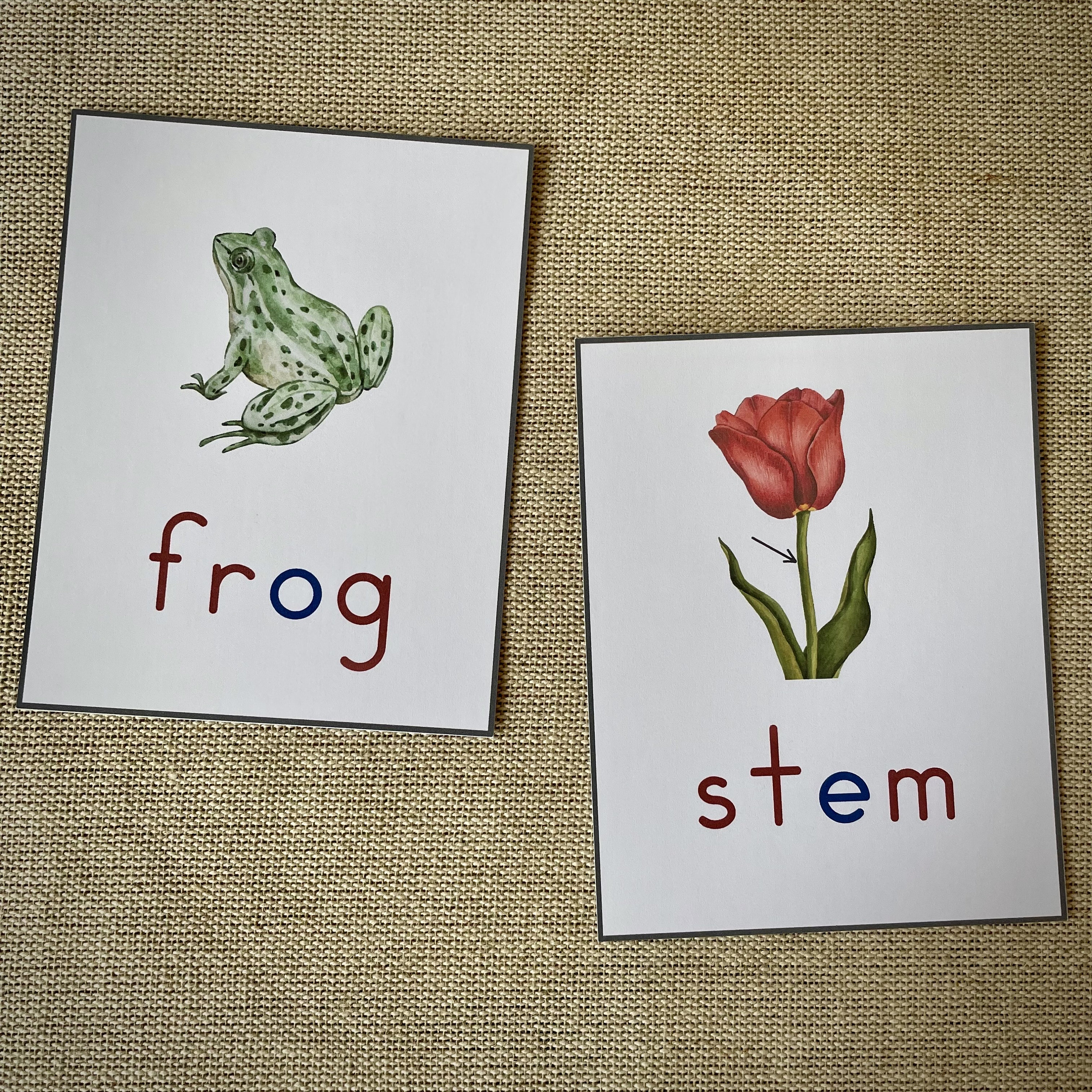 Blends Flashcards. Beginning Blend Printable. CCVC Words Preschool and ...