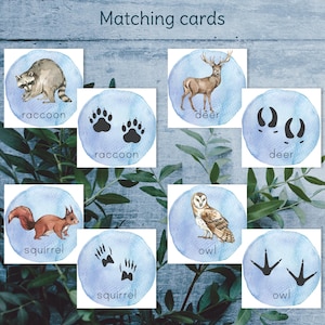 Winter Woodland Animal Tracks Flashcards. Montessori Winter Printable ...