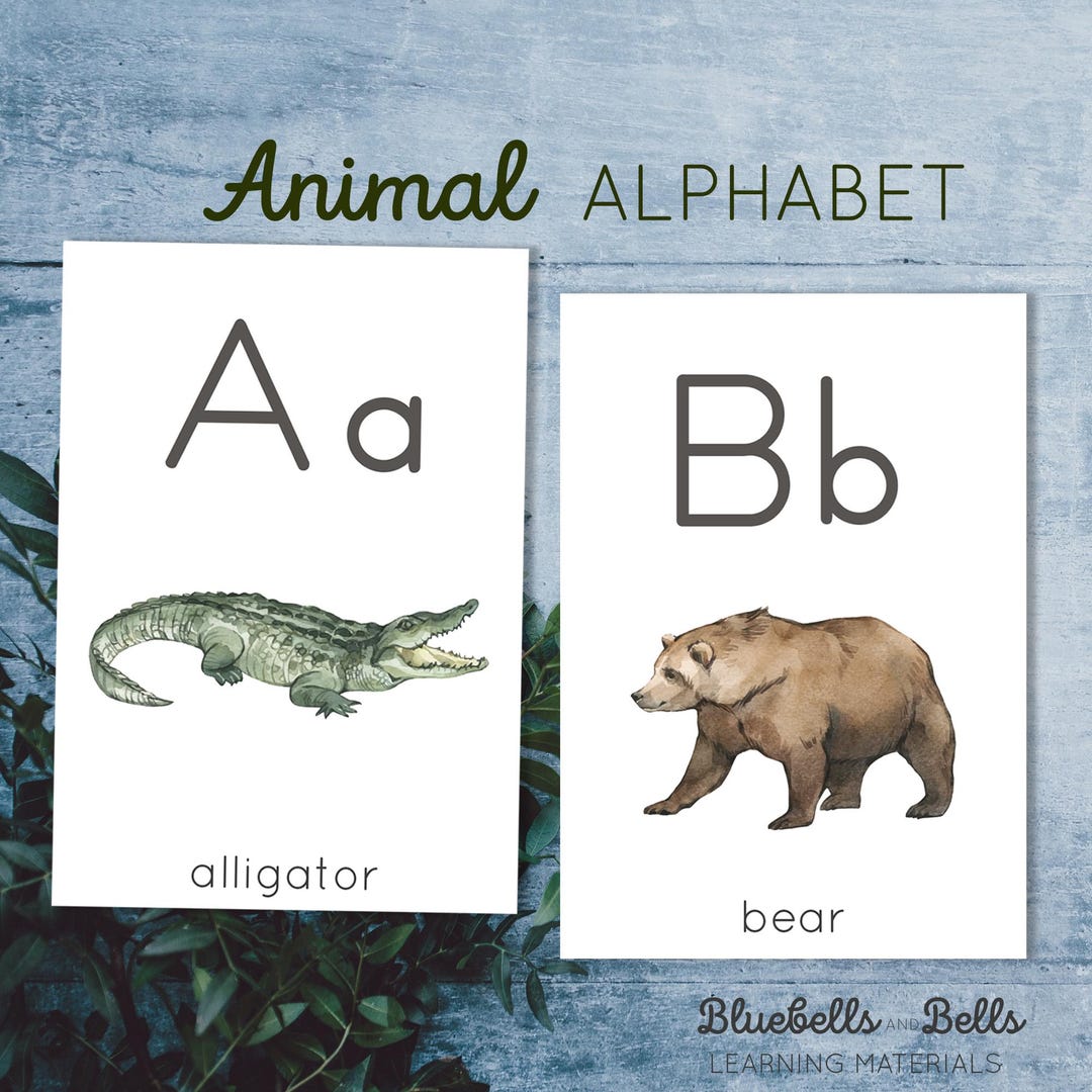 Animal Alphabet Cards. Watercolor Letter Flash Cards. Classroom ABC ...